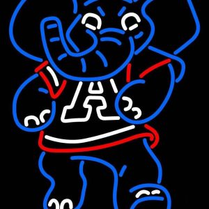 Custom – Page 2 – DIY Neon Signs – Custom Neon Signs