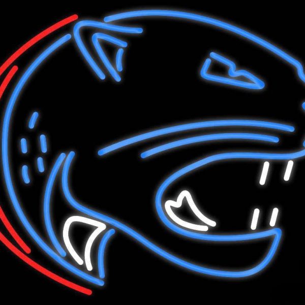 Custom Stihl Neon Sign Tube Neon Light – DIY Neon Signs – Custom Neon Signs